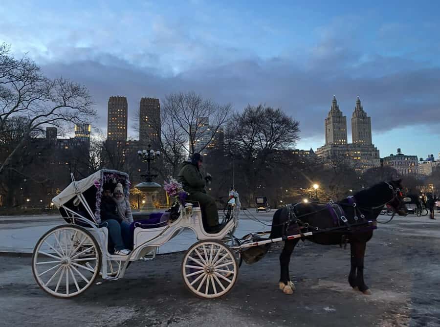 NYC: Amazing Central Park Horse and Carriage Ride with Guide - How the Itinerary Comes to Life