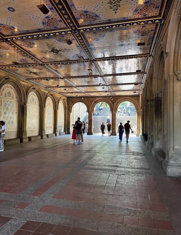 NYC: Central Park Highlights Pedicab Tour - The Experience: What Travelers Are Saying