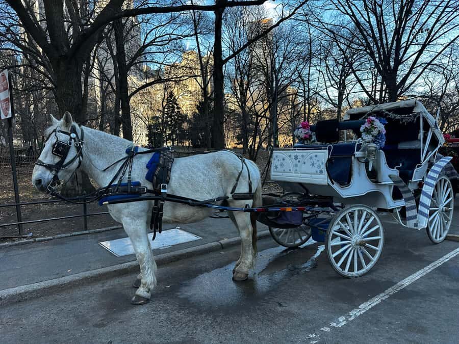 NYC Central Park Horse Drawn Carriage Ride - What to Expect from the Ride