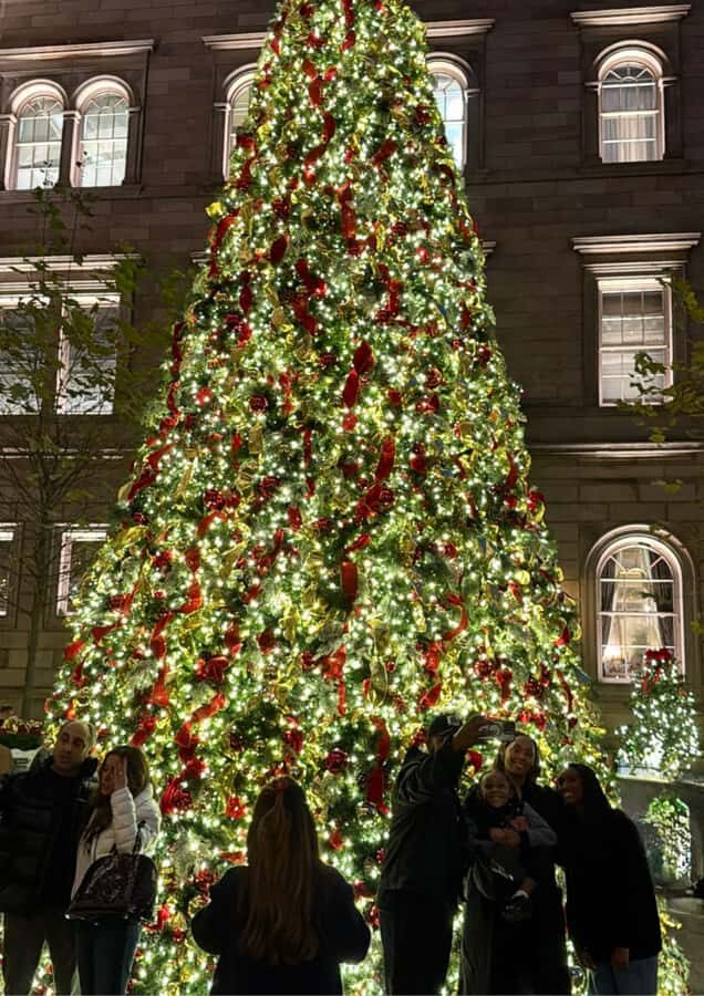 NYC: Christmas Sweet Food Tour and Holiday Lights - What You’ll Love About This Tour