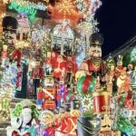 NYC: Dyker Heights Christmas Lights Trolley Tour - The Value of the Experience