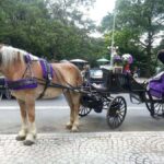 NYC: Long Central Park Horse Carriage Ride with Photo Stop - Why This Tour Offers Good Value