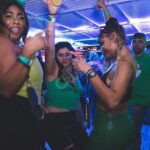 NYC: St Patrick's Day Booze Cruise w/ Drinks, DJ, City Views - The experience: what to expect