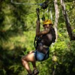 Oahu: Coral Crater Zipline Tour - The Experience and What You Can Expect