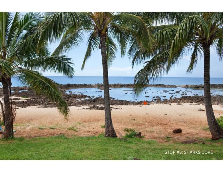 Oahu: Explore North Shore by E-Bike & Snorkel (Self-Guided) - Practical Details and What You Should Know