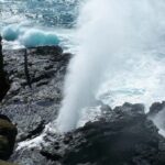 Oahu: Full-Day Tour with Snorkeling, Free Wi-Fi & Free Perks - Why This Tour Works