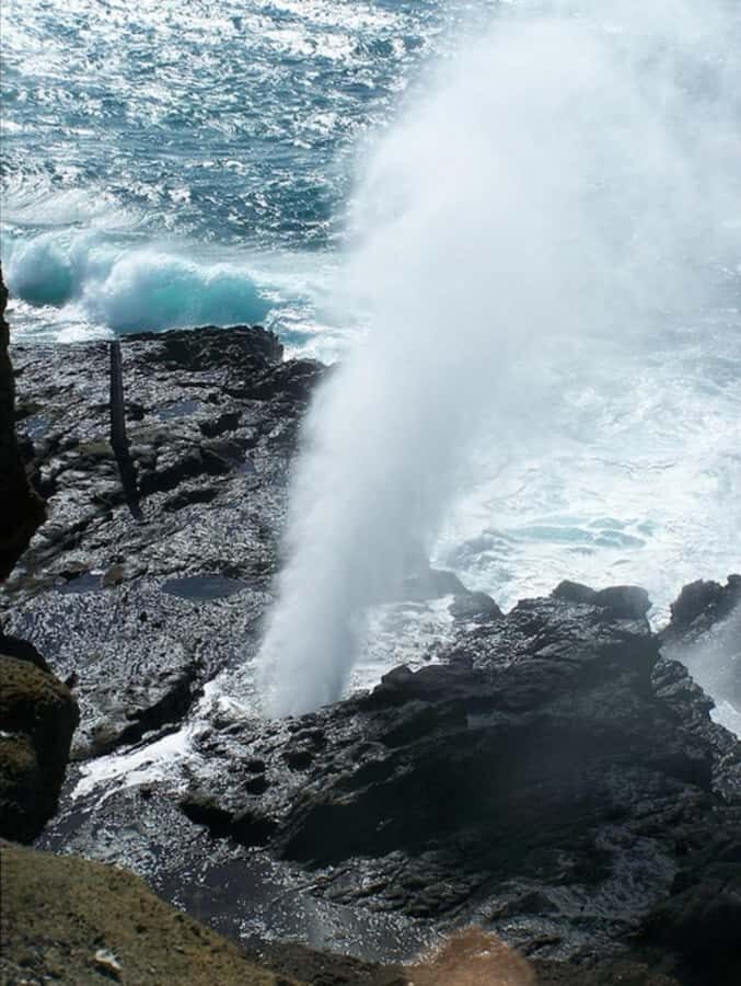 Oahu: Full-Day Tour with Snorkeling, Free Wi-Fi & Free Perks - Why This Tour Works