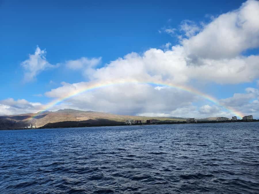 Oahu: Premium Snorkeling Cruise, Whale & Dolphin Watching - Itinerary Breakdown