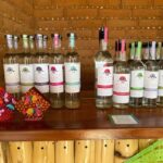 Oaxaca: full-day tour of Monte Alban, ancestral mezcal, alebrijes, and black mud - Exploring Alebrijes and Black Clay Crafts