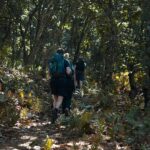 Oaxaca: Hiking Tour In the Sierra Norte With Lunch - A Full Breakdown of the Experience