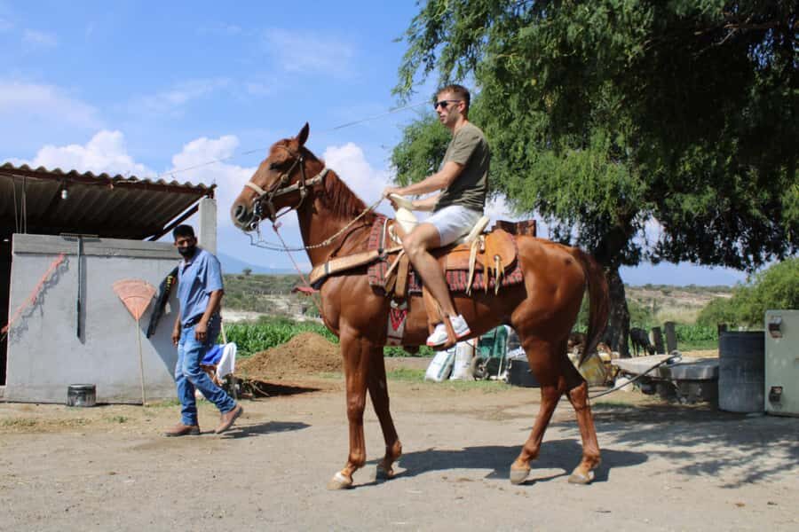 Oaxaca: Horseback Riding and Mezcal Tasting Tour - Analyzing the Value