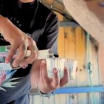 Oaxaca - Mezcalera Route with tasting - The Value of the Experience