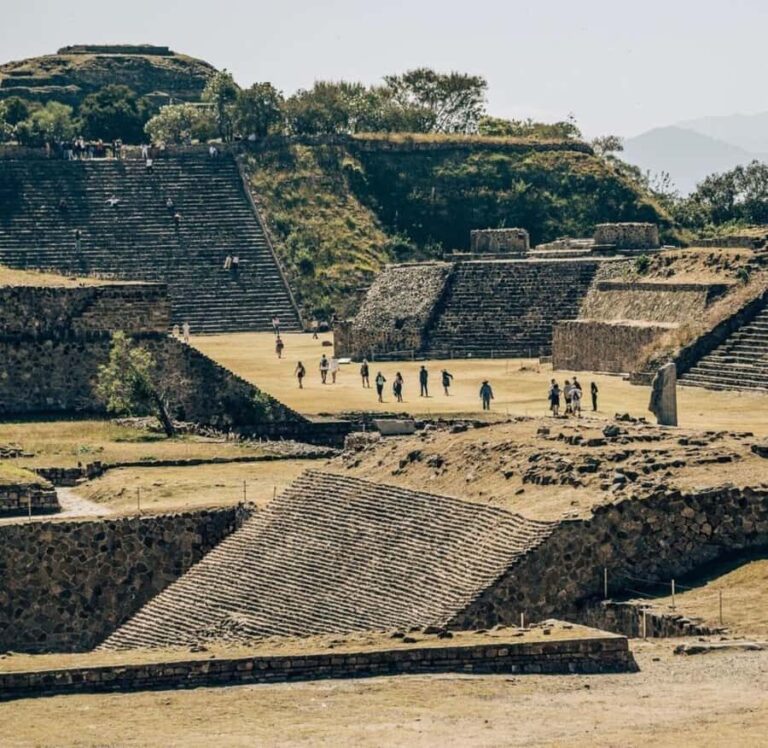 Oaxaca: Monte Alban, Alebrijes, & San Bartolo Tour - What To Expect From This Tour