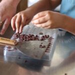 Oaxacan Chocolate Tablet Workshop - Who Should Consider This Experience?