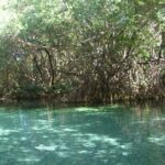 Occidental Grand Punta Cana - Round Trip Shuttle - Punta Cana Airport - Who Is This Shuttle Best For?