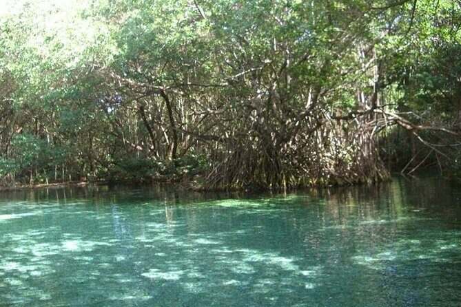 Occidental Grand Punta Cana - Round Trip Shuttle - Punta Cana Airport - Who Is This Shuttle Best For?