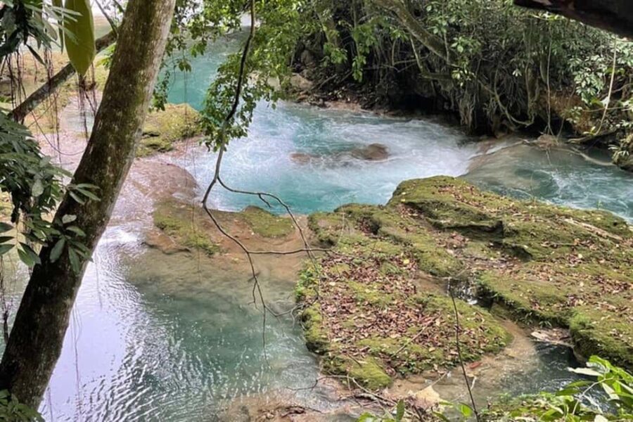 Ocho Rios: Blue Hole and Secret Falls Sightseeing Tour - The Experience Provider: Marvyn’s Paradise Tours