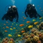 Ocho Rios: Discover Scuba Diving for Beginners - What Travelers Say
