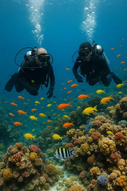 Ocho Rios: Discover Scuba Diving for Beginners - What Travelers Say