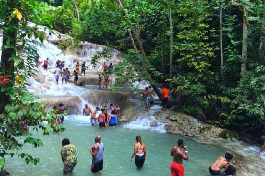 Ocho Rios: Dunn's River Falls and Blue Hole Private Tour - What You Can Expect on This Tour
