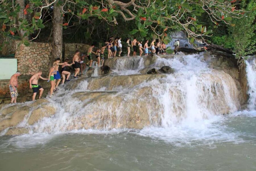 Ocho Rios: Dunns River Falls & Reggae Hill Tour - The Physical & Practical Aspects