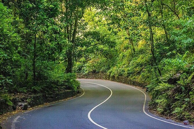 Ocho Rios Highlights and Shopping Tour - A Detailed Look at the Itinerary