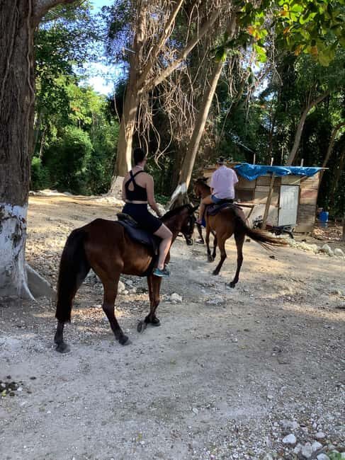 Ocho Rios: Horseback Riding and Dunn's River Falls Tour - An In-Depth Look at the Tour Experience