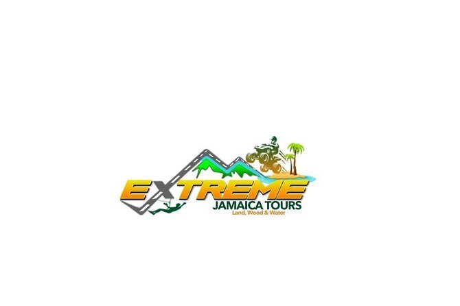 Ocho Rios Hotels Private Transfer - Why This Transfer Might Be Perfect for You