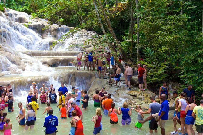 Ocho Rios Jamaica: Dunn's River Falls and River Tubing Combo Tour - What You Can Expect: Transportation, Timing, and Comfort