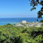 Ocho Rios: Konoko Falls, Fern Gully, and Shopping Tour - What You’ll Experience: A Closer Look