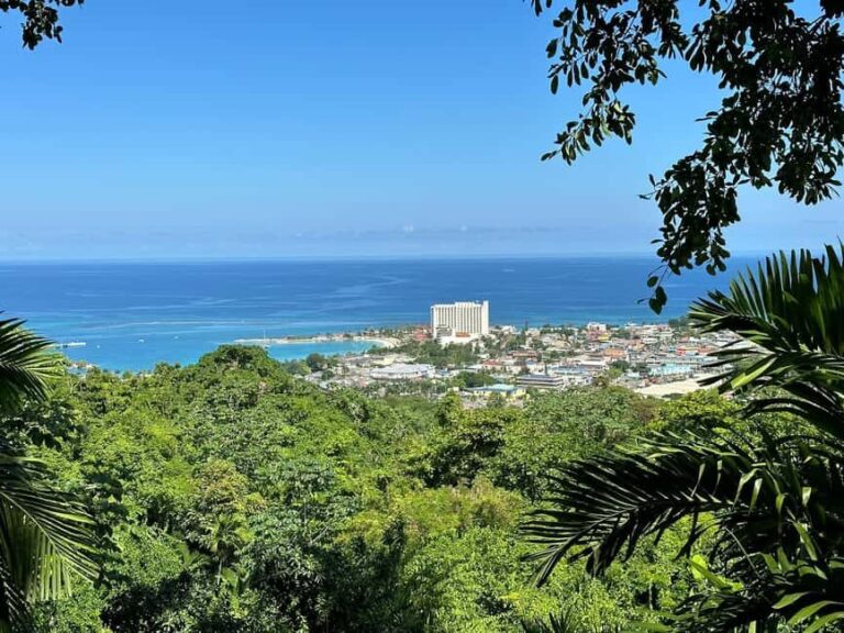 Ocho Rios: Konoko Falls, Fern Gully, and Shopping Tour - What You’ll Experience: A Closer Look