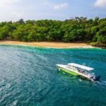 Ocho Rios Powerboat & Dunns River Falls Adventure - What You Can Expect from the Tour