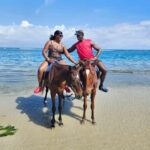 Ocho Rios: Scenic Horseback Riding Adventure - The Value of the Experience: Why It’s Worth It
