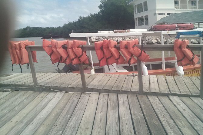 Ocho Rios Shore Excursion: Private Snorkel Tour - Who Will Enjoy This Tour?