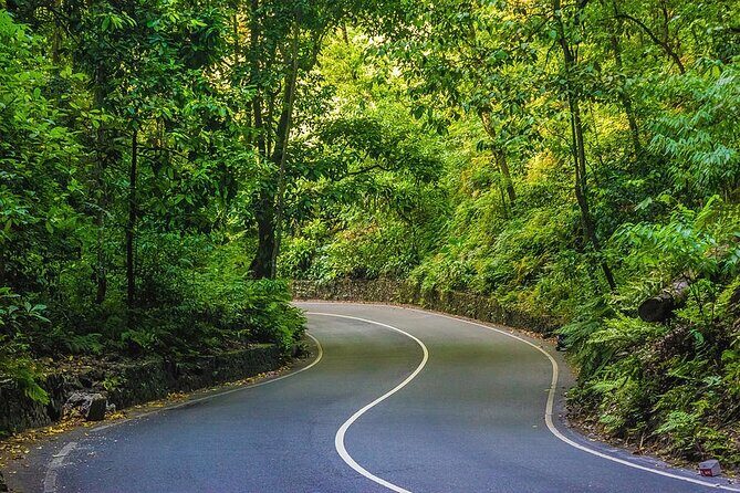 Ocho Rios Sightseeing, Beach Half-Day Tour (Admission include) - Practical Details & What It Means for You