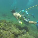 OCTOPUS DIVING (hookah diving) NO Experience Needed - What Makes This Experience Stand Out?