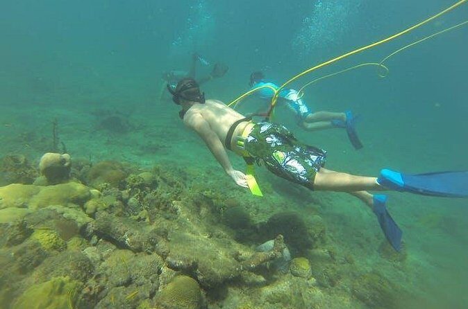 OCTOPUS DIVING (hookah diving) NO Experience Needed - What Makes This Experience Stand Out?