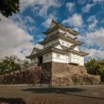 Odawara Castle and Town Guided Discovery Tour - A Deep Dive into the Odawara Experience