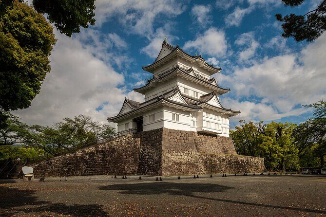 Odawara Castle and Town Guided Discovery Tour - A Deep Dive into the Odawara Experience