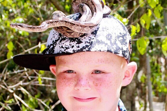 Off Road ATV Cenote Monkeys and Snorkel with Sea Turtles - Who Will Appreciate This Tour?