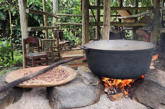 Off Road Punta Cana Jeep Safari Adventure Tour - Breaking Down the Itinerary