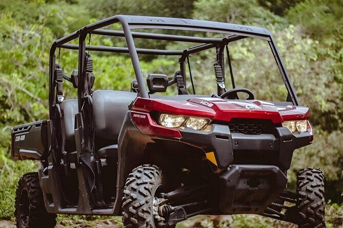Off Road RZR Jungle Adventure - Practical Details and Value