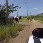 Off roading Morning Excursion - Visiting Local Hotspots