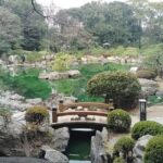 Ohori Park Walking Tour with Guide from Fukuoka - Who Would Love This Tour?