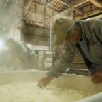 Oita : Komatsu Shuzojo Sake Brewery Tour and Tasting - Why This Tour Is a Great Choice
