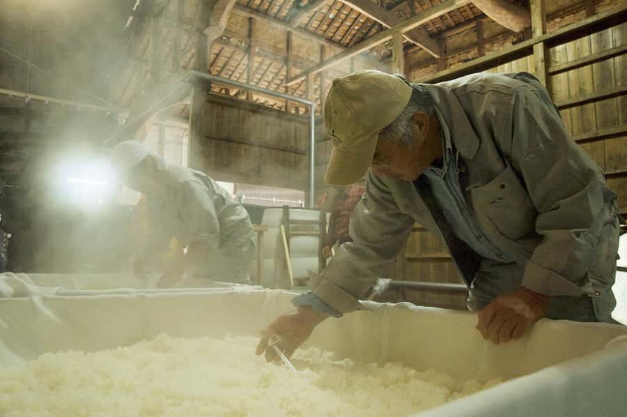 Oita : Komatsu Shuzojo Sake Brewery Tour and Tasting - Why This Tour Is a Great Choice