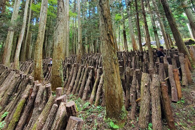 Oita: Shiitake Mushroom Farm Tour & Tasting - FAQ