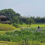 Okayama: Castle & Korakuen Garden Heritage Walk - Who Should Take This Tour?