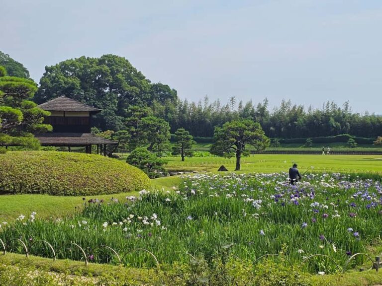 Okayama: Castle & Korakuen Garden Heritage Walk - Who Should Take This Tour?