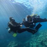 Okinawa Blue Cave Boat Diving in Onna Village| 8 Perks - The Itinerary Explained